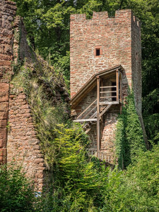 Burg (-ruine) Wildenstein entdecken | hochwertige Bilder und Informationen